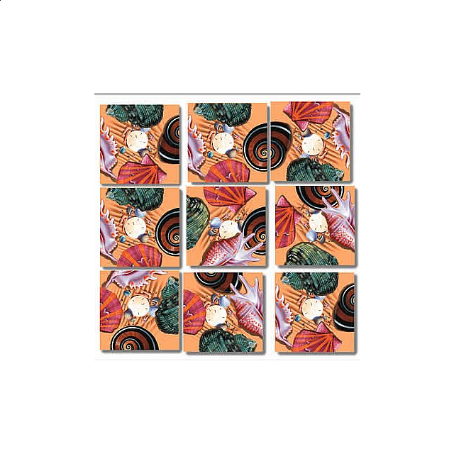 Scramble Squares - Sea Shells | More Puzzles | Puzzle Master Inc