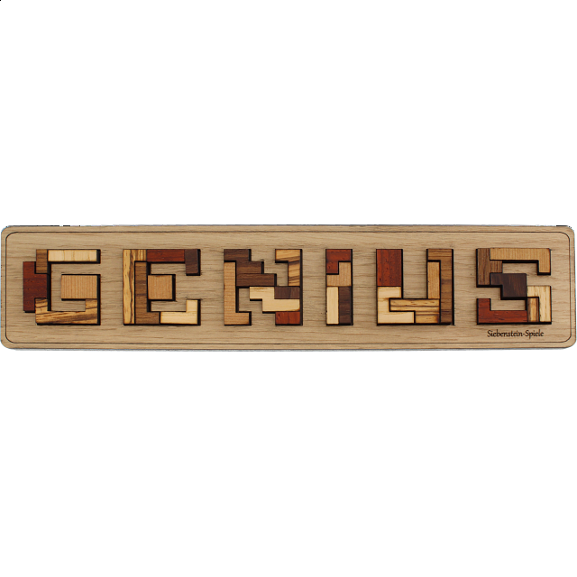 Genius | Wood Puzzles | Puzzle Master Inc