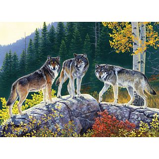 Wildlife Masters – Fall Wolves | Riffbug