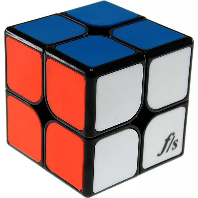 ShiShuang 2x2x2 with tiles - Black Body (50x50mm) | 2x2 | Puzzle Master Inc