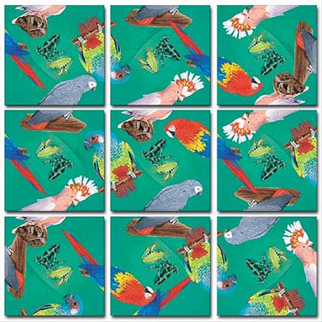 Scramble Squares - Parrots | Tile Puzzles | Puzzle Master Inc