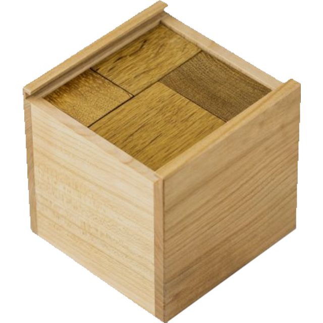 X-Ray Cube | European Wood Puzzles | Puzzle Master Inc