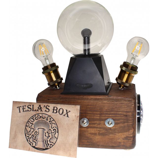 Tesla's Puzzle Box | Wooden Puzzle Boxes | Puzzle Master Inc