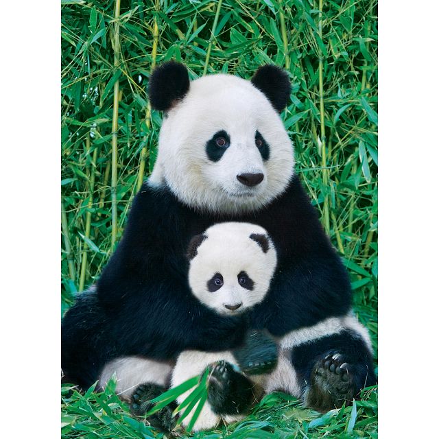 Panda and Baby | 1000 Pieces | Puzzle Master Inc
