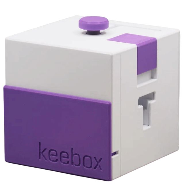 Keebox Purple: Sequential Discovery Puzzle Box | Puzzle Boxes | Puzzle ...