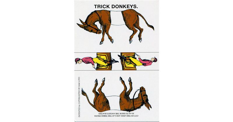 Puzzle Solution for Trick Donkeys - Mini - Puzzle Master Inc.