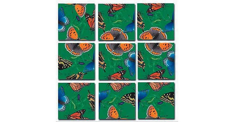 Puzzle Solution for Scramble Squares - Butterflies - Puzzle Master Inc.