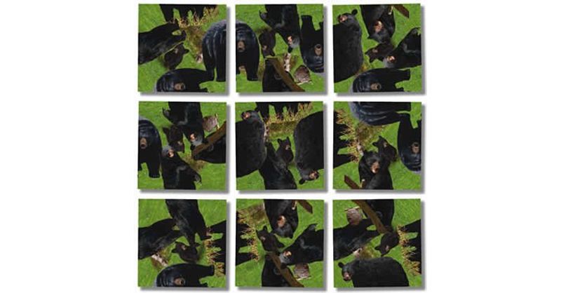Puzzle Solution for Scramble Squares - Black Bears - Puzzle Master Inc.