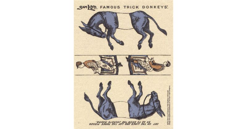 Famous Trick Donkeys - Color - Postcard - English - Blue | Paper ...