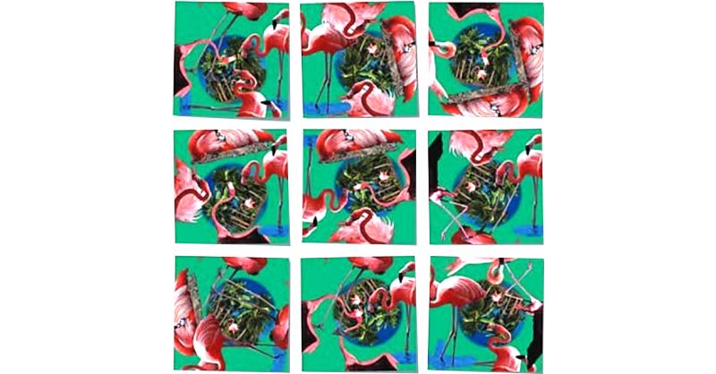 Puzzle Solution for Scramble Squares - Flamingos - Puzzle Master Inc.