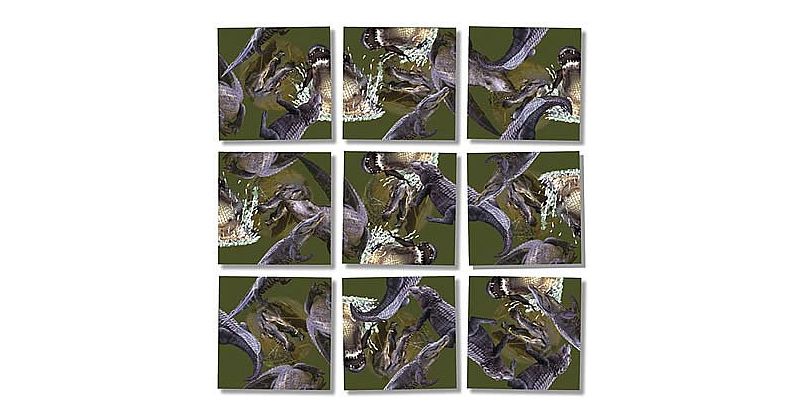 Puzzle Solution for Scramble Squares - Alligators - Puzzle Master Inc.