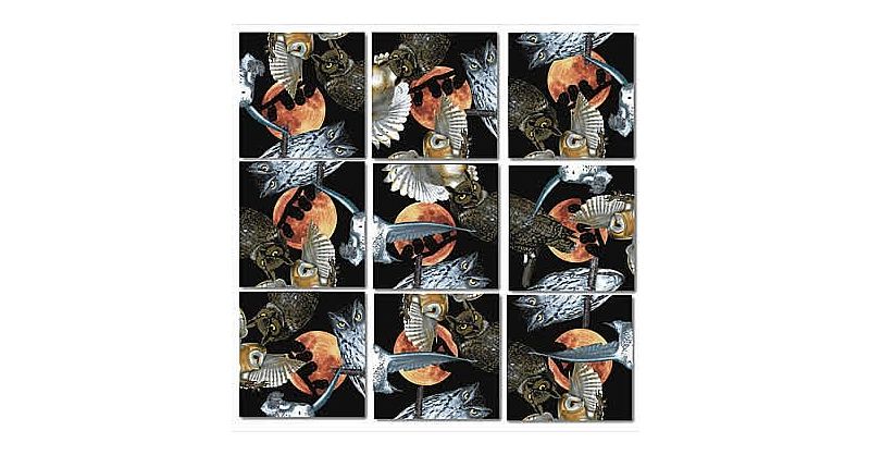Puzzle Solution for Scramble Squares - Owls - Puzzle Master Inc.