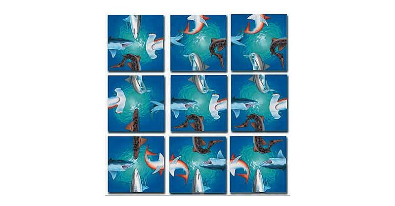 Puzzle Solution for Scramble Squares - Sharks - Puzzle Master Inc.