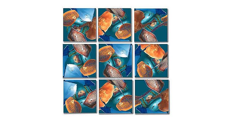 Puzzle Solution for Scramble Squares - Stingrays - Puzzle Master Inc.