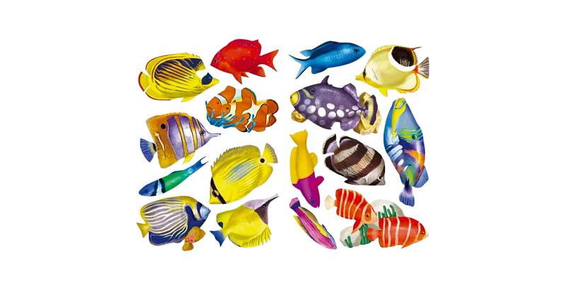 Reef Fish II - 16 Mini Shaped Puzzles | Shaped | Puzzle Master Inc