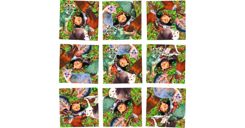 Scramble Squares - Foxes | Tile Puzzles | Puzzle Master Inc