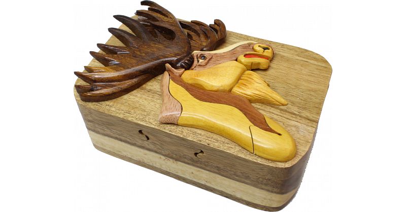 Moose Head - 3D Puzzle Box | Wooden Puzzle Boxes | Puzzle Master Inc