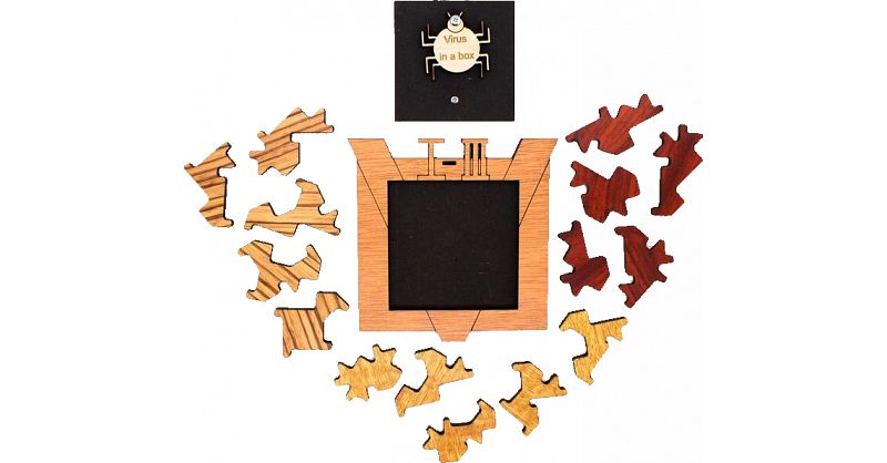 Virus in a Box | European Wood Puzzles | Puzzle Master Inc