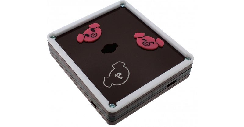 Invisible Oink | Acrylic Puzzles | Puzzle Master Inc
