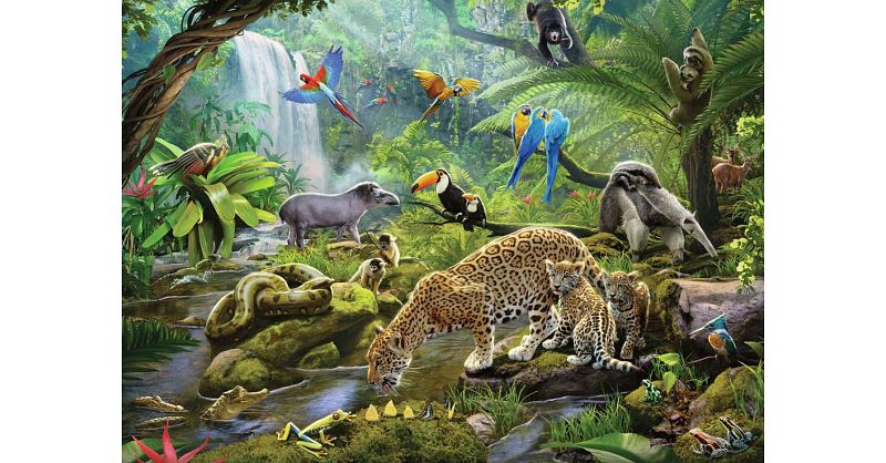Rainforest Animals - 60 XXL Pieces | Jigsaws | Puzzle Master Inc