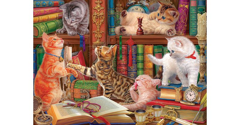 Library Kittens | 1000 Pieces | Puzzle Master Inc