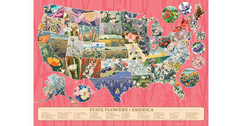 State Flowers of America | 1000 Pieces | Puzzle Master Inc
