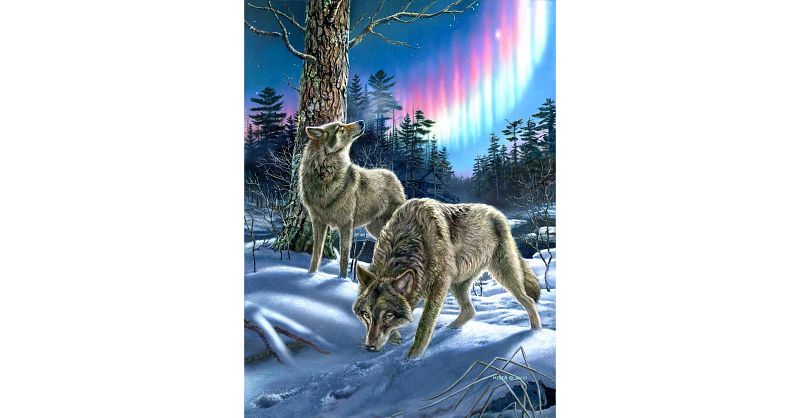 Wolves and Lights | 1000 Pieces | Puzzle Master Inc