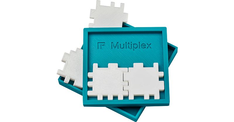 Multiplex – Packing Puzzle | Packing Puzzles | Puzzle Master Inc